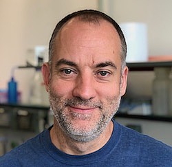 Prof. Dr. Jan Frank: Fachgebiet für Biofunktionalität der Lebensmittel